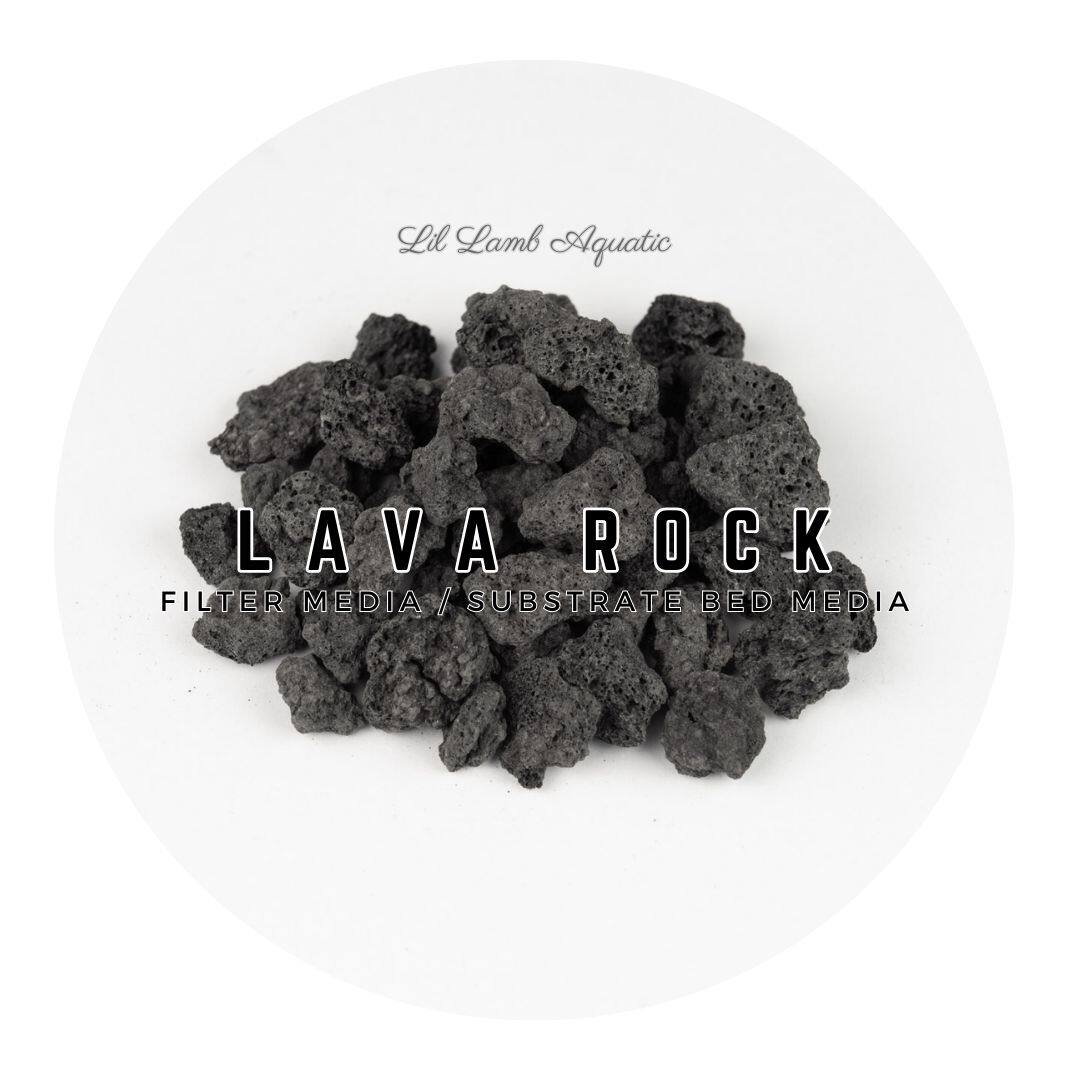 [Hardscape] Lava Rock Volcanic Rock Porous Bio Filter Media Substrate ...