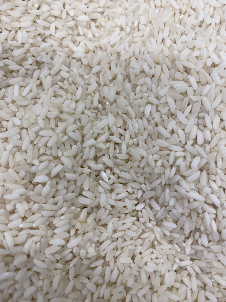 Sarawak White Rice 砂拉越黑糙米 Beras Bario Sarawak 1kg | Lazada