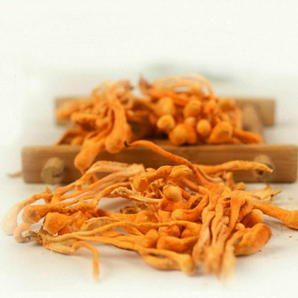 Organic Mushroom Cordyceps Militaris Powder Rich In Protein Amino Acids ...
