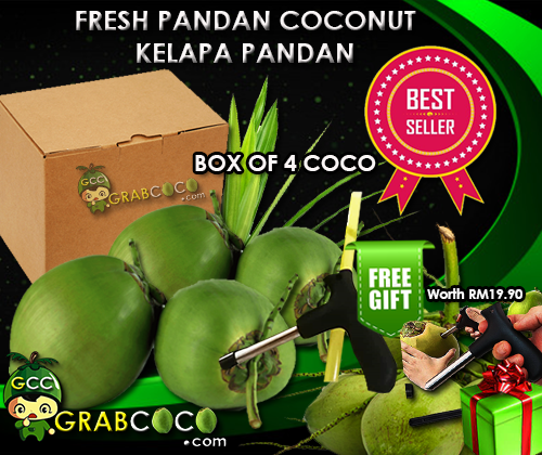 Fresh Pandan Coconut (Box of 4) | Air Kelapa Pandan Segar (4 Biji ...