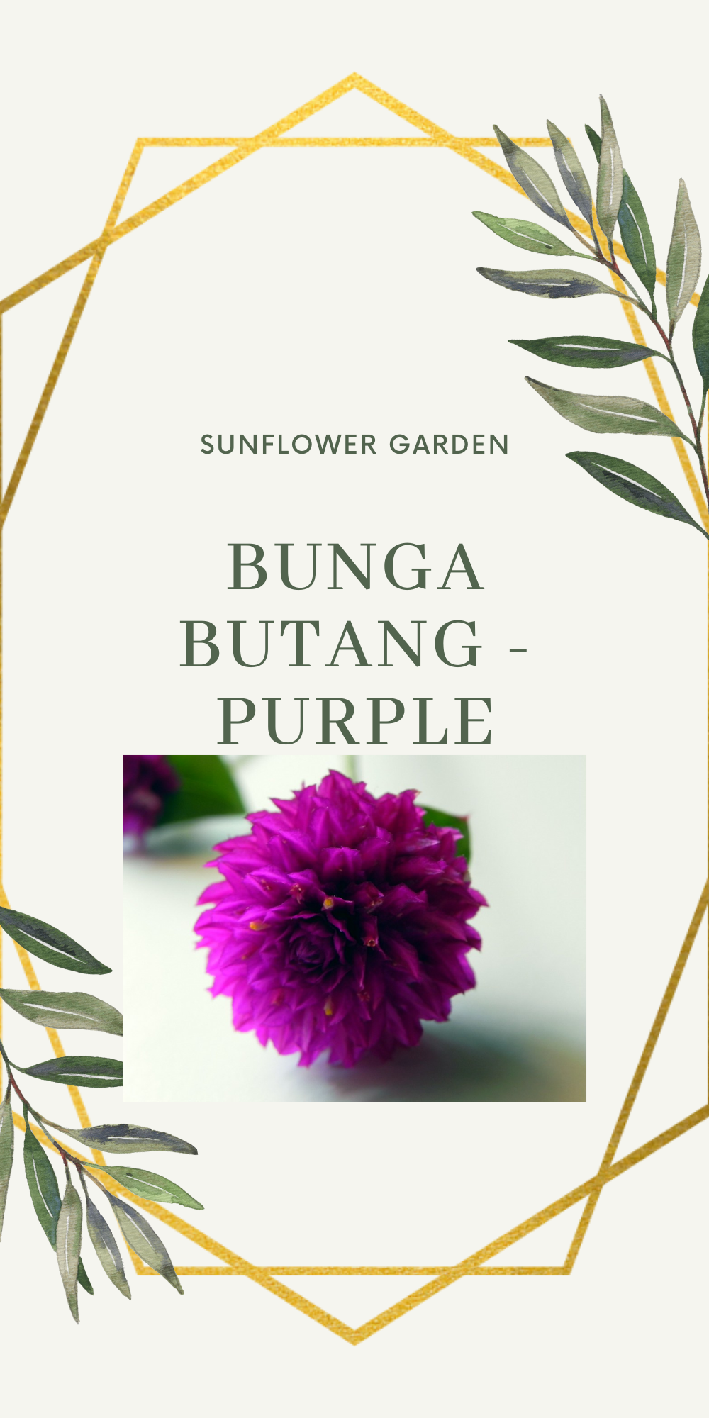 Bunga Butang | Lazada