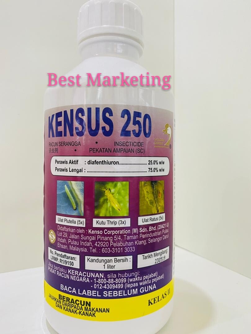 1LIT KENSUS 250 KENSO / Pegasus/ Lalat Putih / Whitefly | Lazada