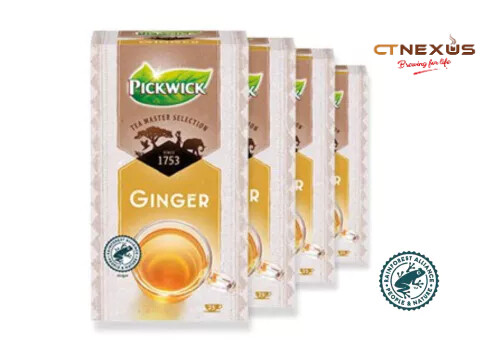 Pickwick TMS - Ginger (25Sachet/Box) | Lazada