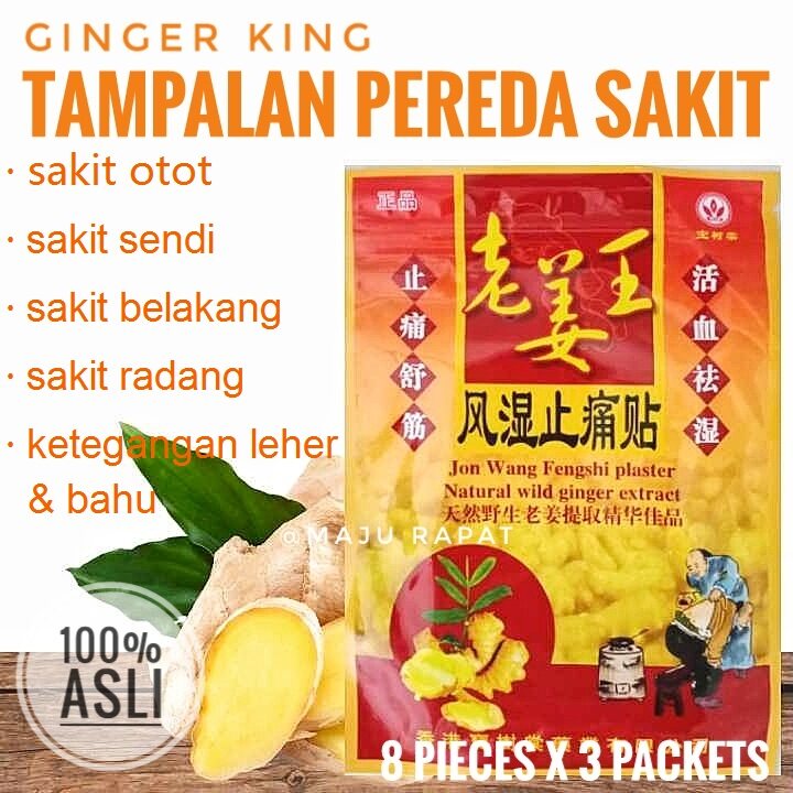 Ready Stock 🇲🇾 (8 keping x 3 pkt) Pain Relief Patch Plaster Tampalan ...