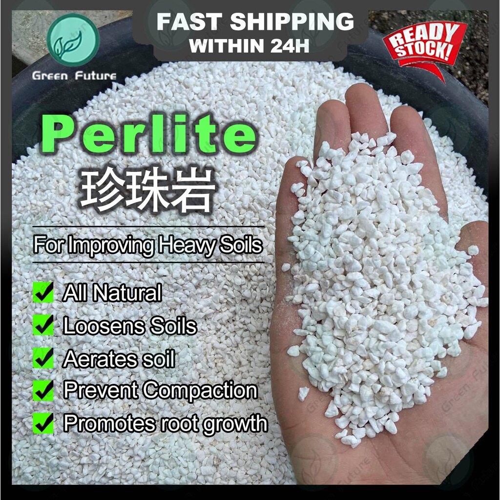 Perlite 珍珠岩 3-5mm For Cactus & Succulents (Natural Expanded Volcanic ...