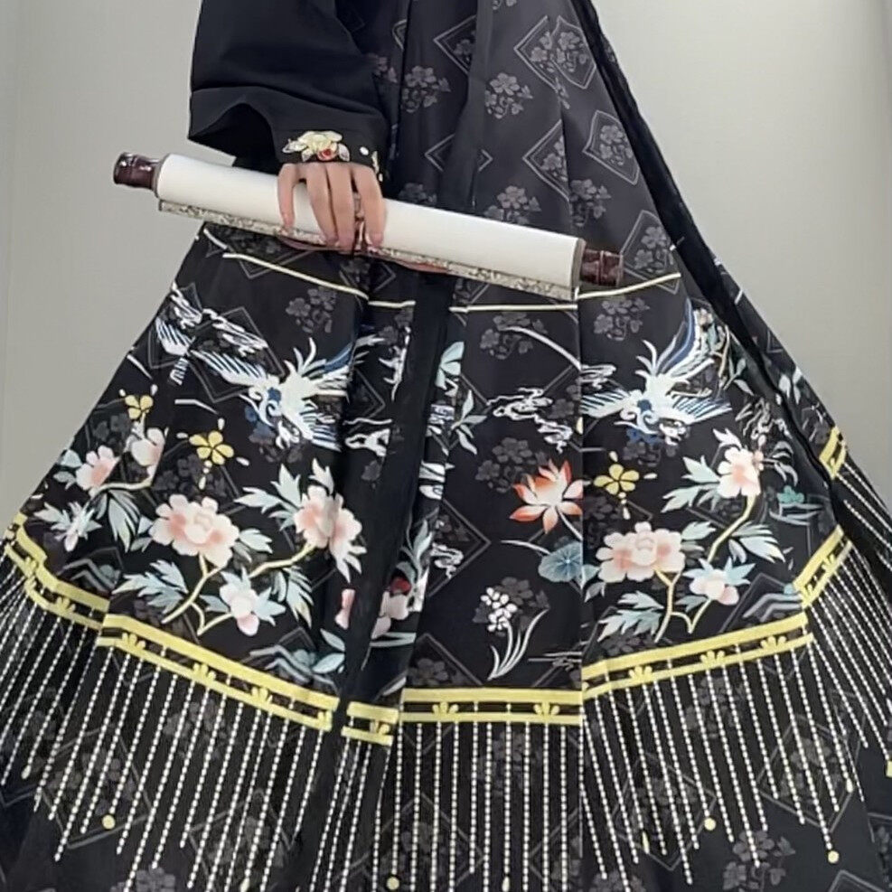 Chinese retro traditional clothing, Hanfu horse skirt, women's black ...