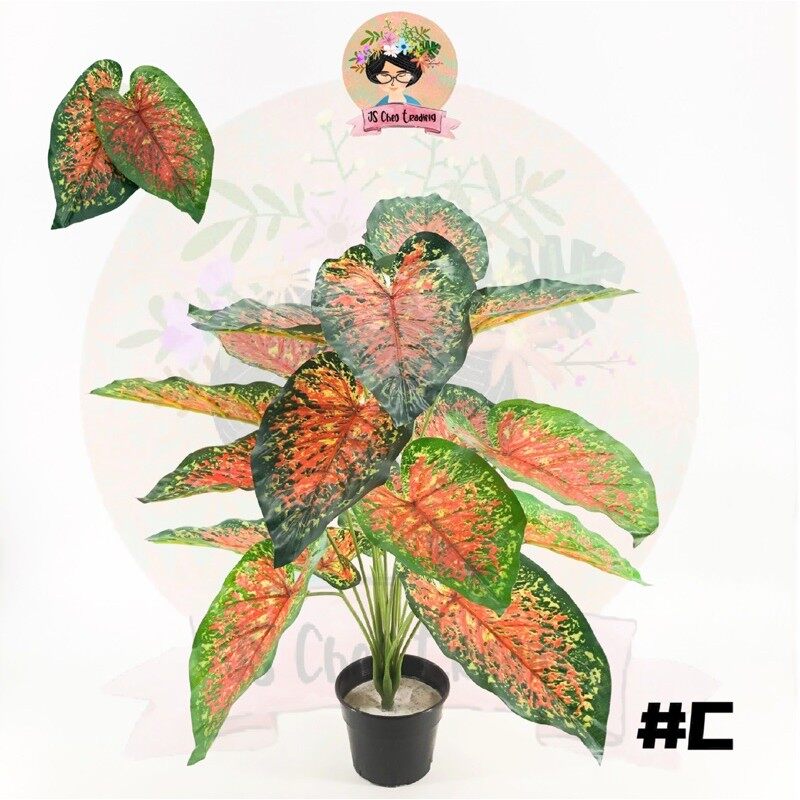 🔥Ready Stock🔥Pasu Bunga🔥Pokok Daun Dengan Pasu 60cm Monstera/Keladi ...