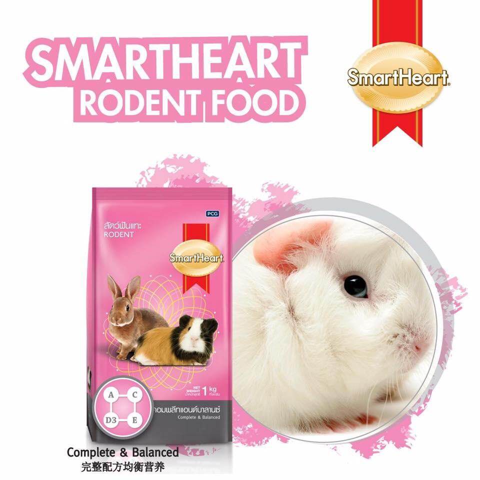 SmartHeart Rodent Food (Complete and Balanced Formula)1kg For Rabbit ...
