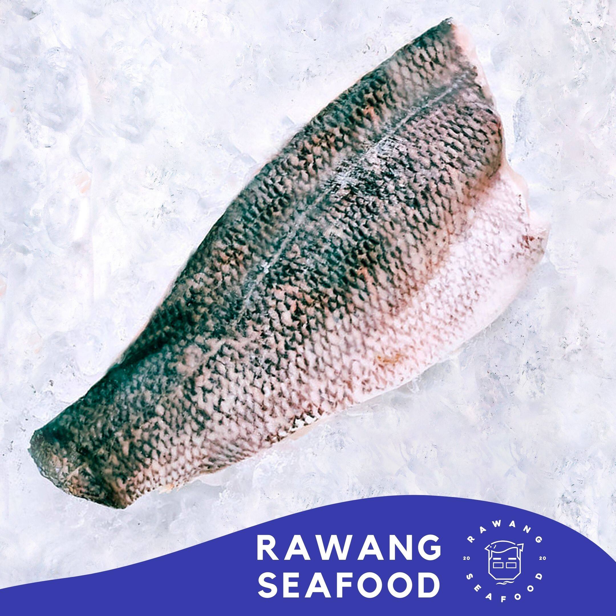 Siakap Fillet 石甲鱼片 Seabass Sliced/ Barramundi Boneless/Frozen Fish ...