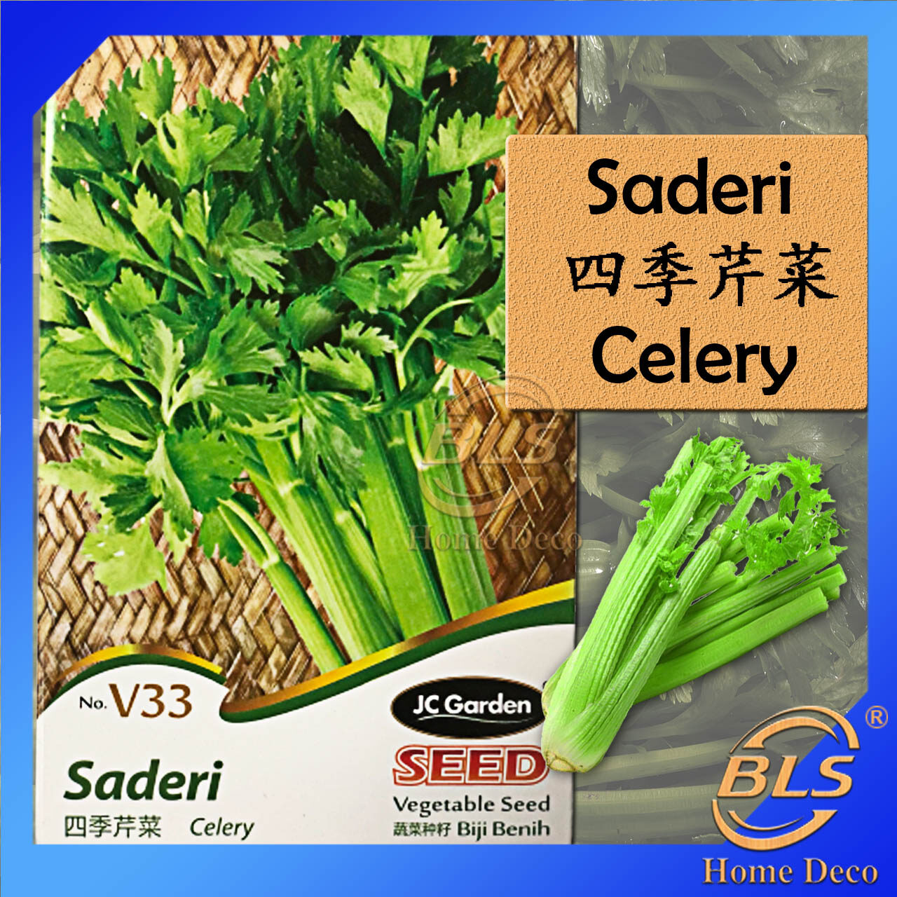V33 SADERI CELERY JC GARDEN VEGETABLE SEED BIJI BENIH | Lazada