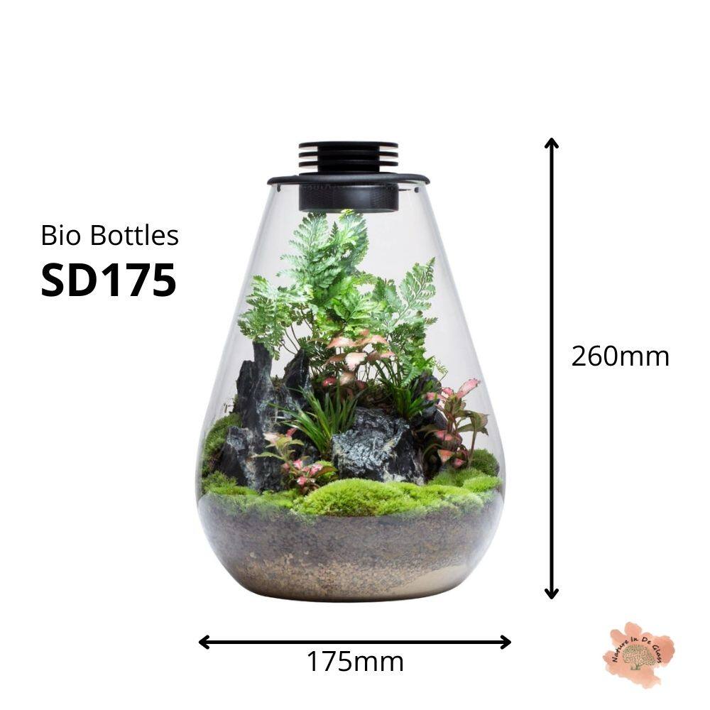 [Glass & Cover Only] BIOLOARK Living Light Glass Bio Bottle Terrarium ...