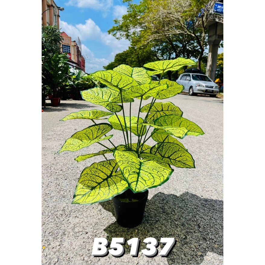 Ready Pokok Hiasan Dalam Rumah Artificial Plant Pokok Keladi 70cm Plant ...
