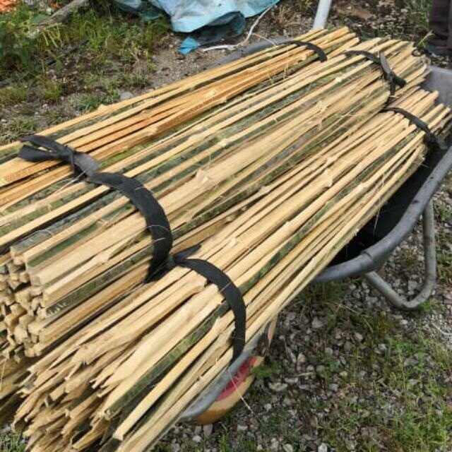 Buluh Pancang Pokok / Bamboo Plants - Utk Tanaman & Kebun (50 Batang ...