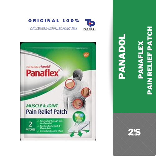 PANAFLEX muscle & joint pain relief patch ( 1 pouches X 2 patches ...