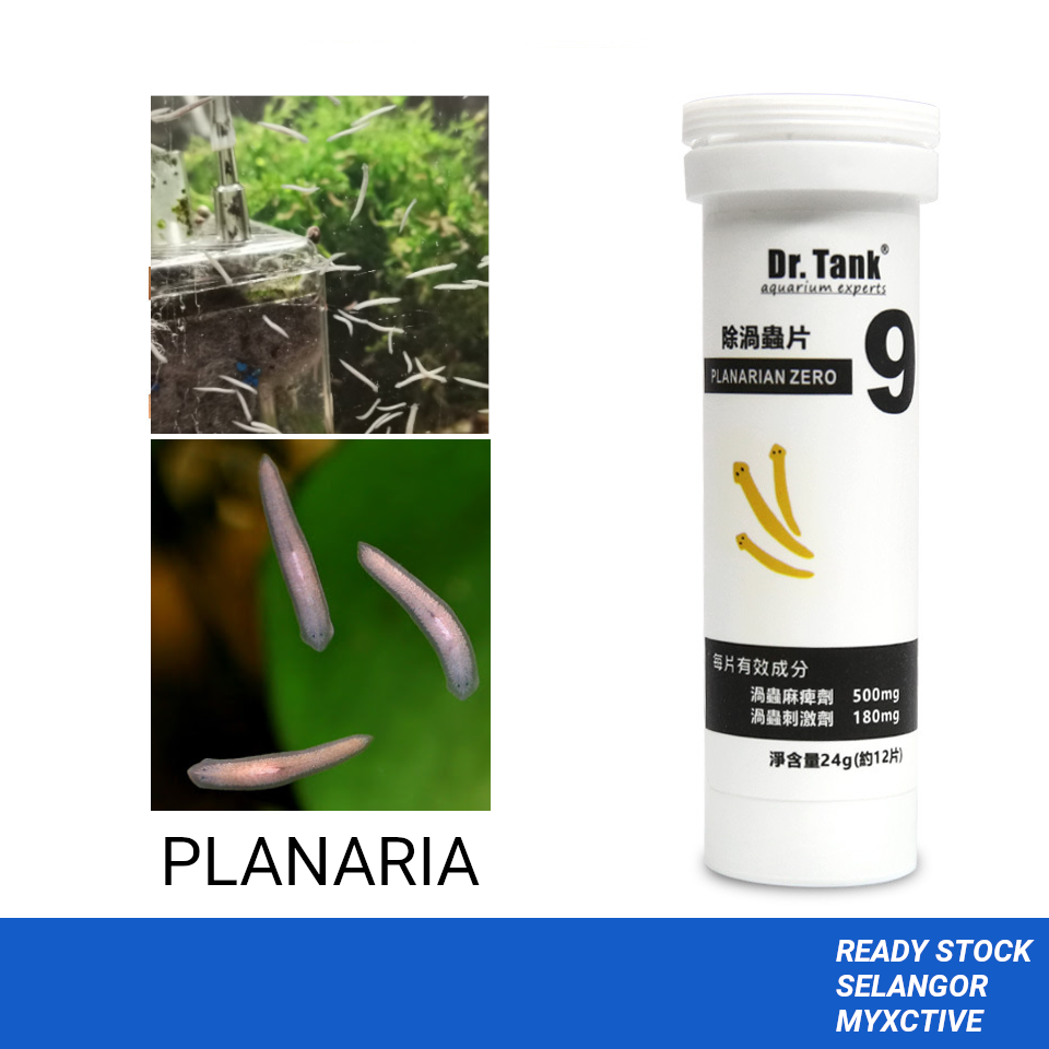 KL Ready - No Planaria No Hydra Cacing Planaria 除涡虫片 Dr Tank | Lazada
