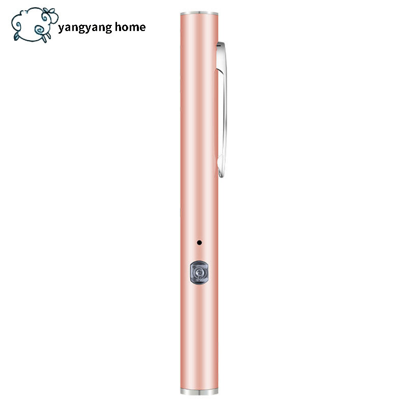 365nm Ultraviolet Light Flashlight Usb Charging Uv Veterinary Lamp ...
