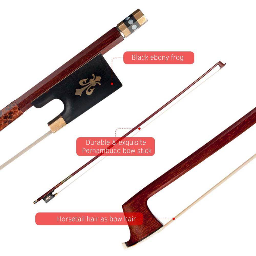 Violin Bow (Pernambuco Bow Stick Black Ebony Frog and Horsetail Bow ...