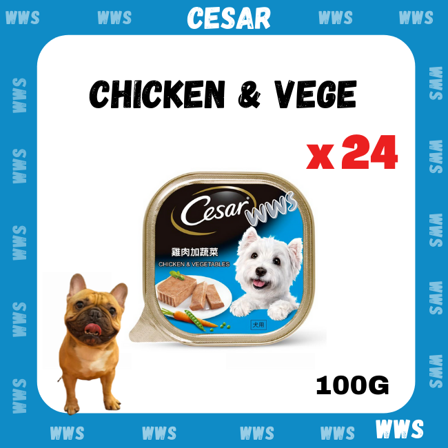 Cesar Dog Wet Food # Alu Tray Wet Food # 24x100g | Lazada