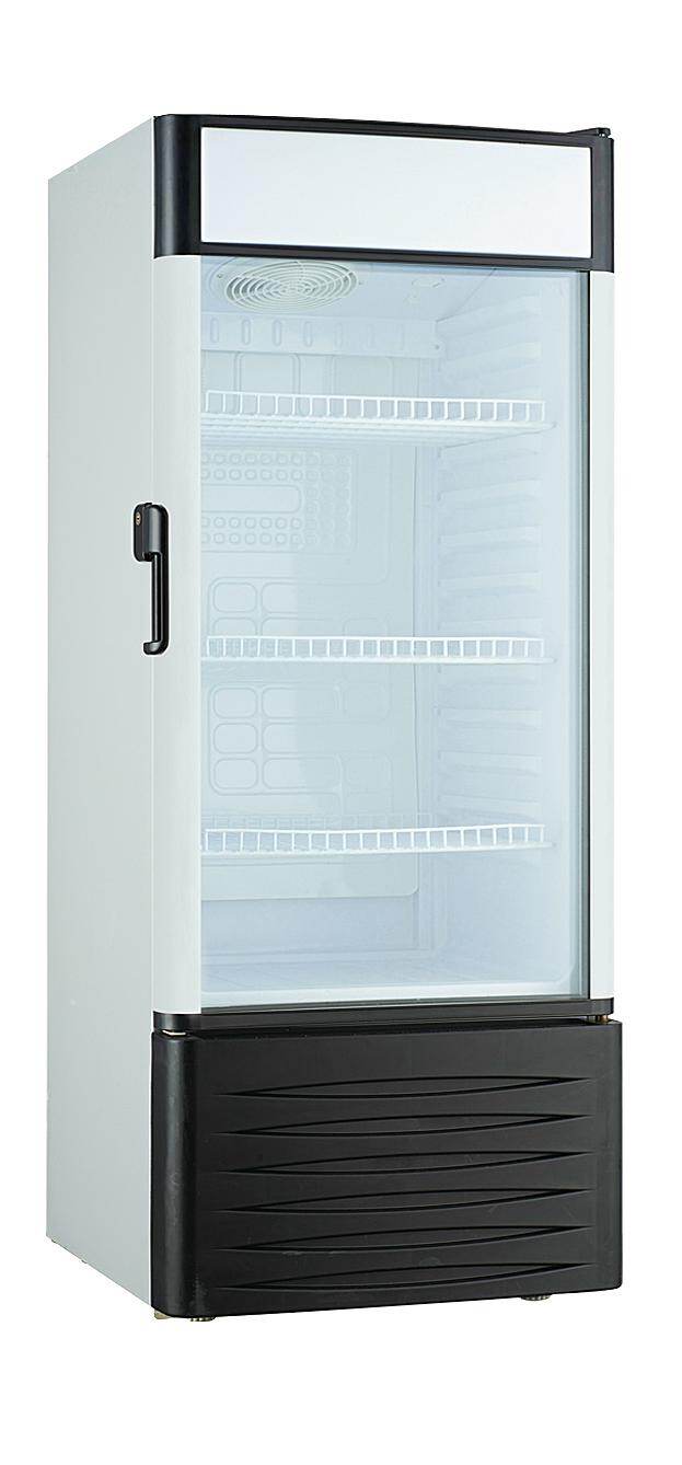 SAKATO UPRIGHT CHILLER 200L | Lazada