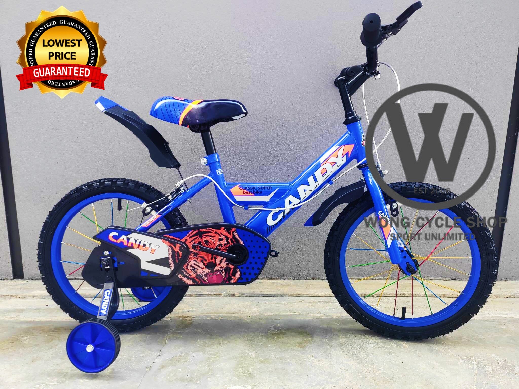 Basikal Budak Y- Bike 16"Inch EKONOMI (SESUAI 5--7 TAHUN) | Lazada