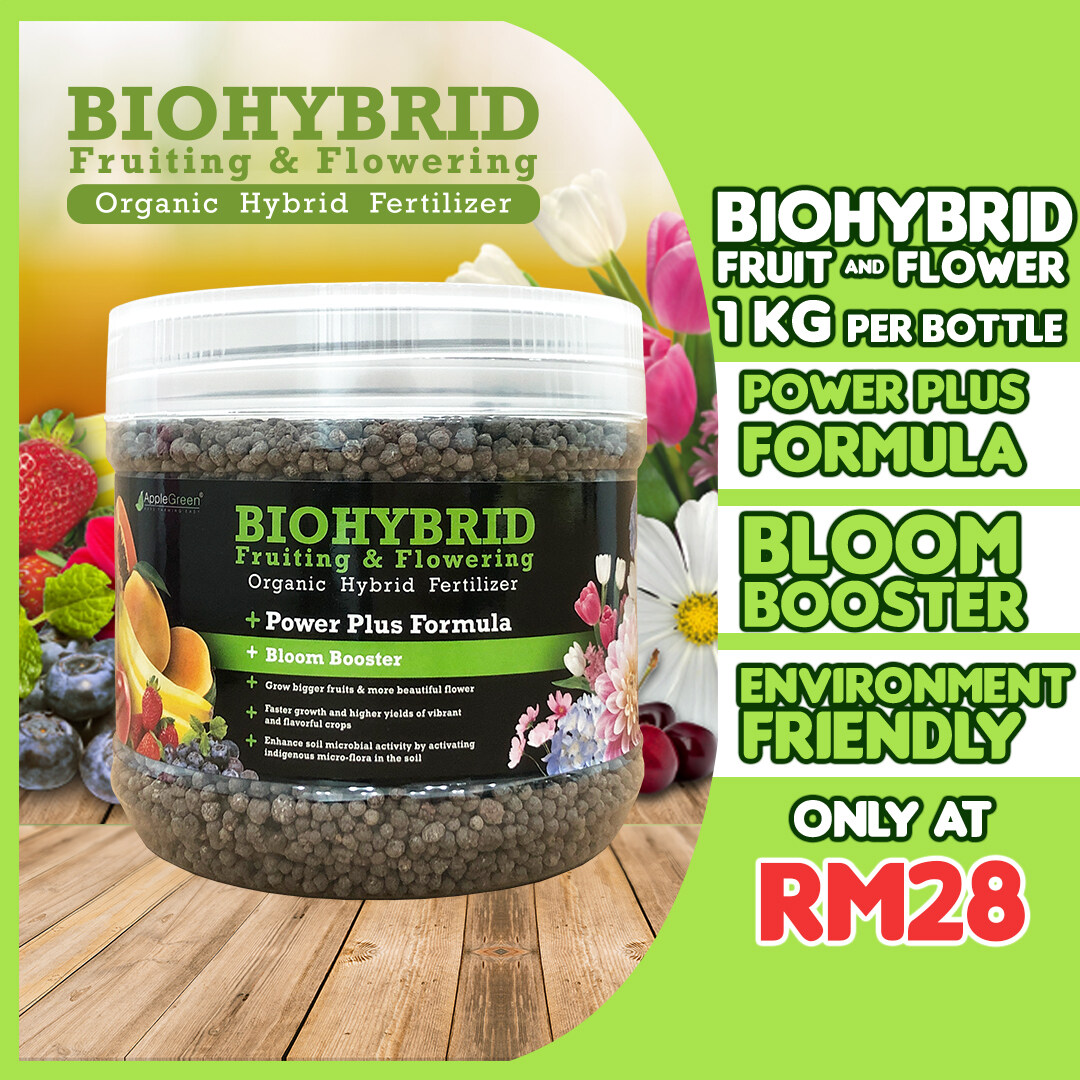 Gro Power Fertilizer Flower N Bloom | Best Flower Site