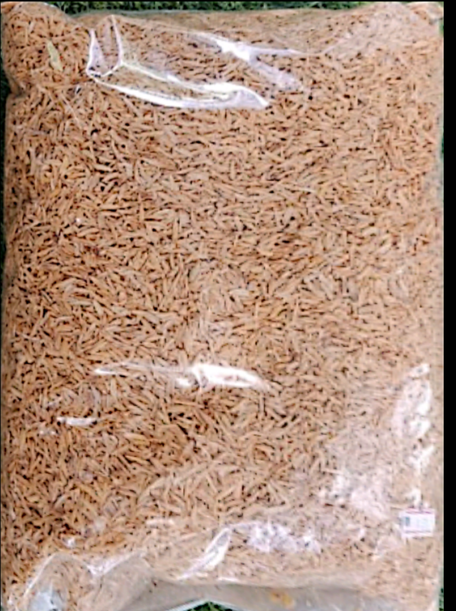 Sekam padi mentah 2 kilo | Lazada