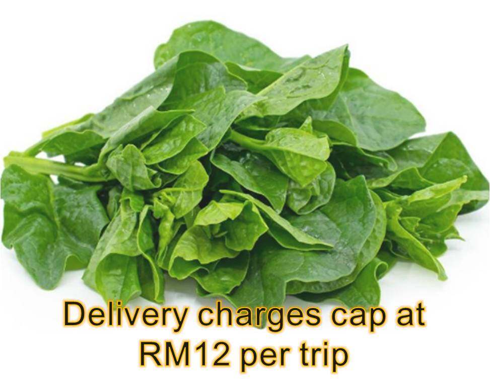 ORGANIC VEGETABLE / SAYUR ORGANIK - Malabar Spinach / Sayur Raja 200g ...