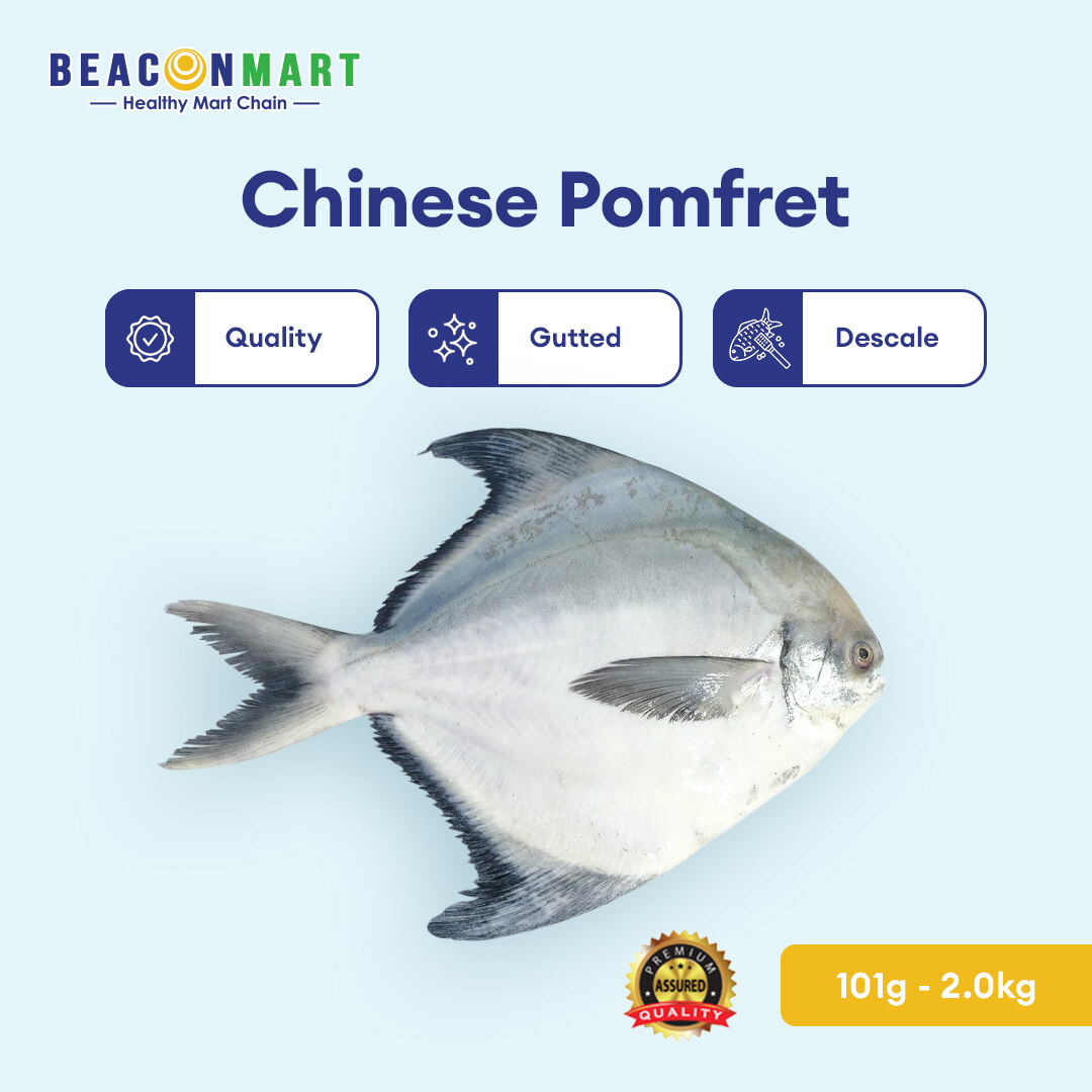 [Beacon Mart] Whole Fish Fresh Frozen Chinese Pomfret | Sabah Wild Caught | Gutted | Ikan Bawal ...