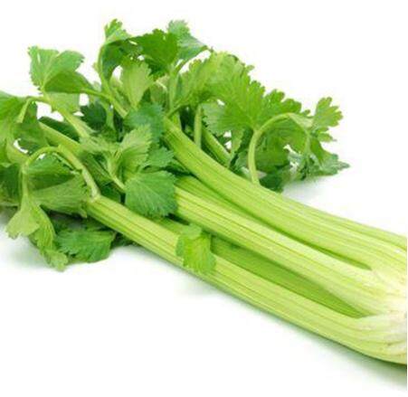Vegetables Seeds Celery 100pcs Celery Seeds Vegetable Biji Benih Sayur ...