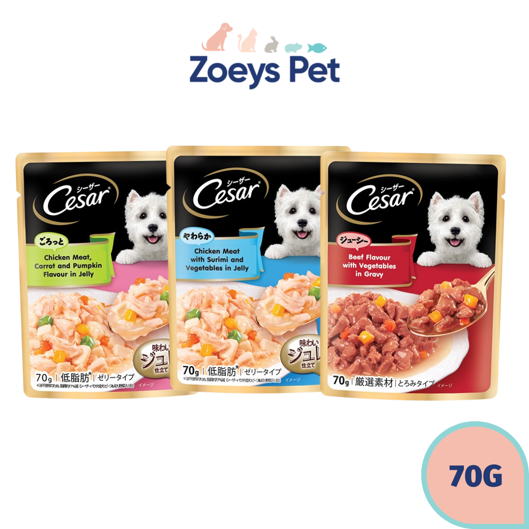 Who Makes Little Caesars Dog Food