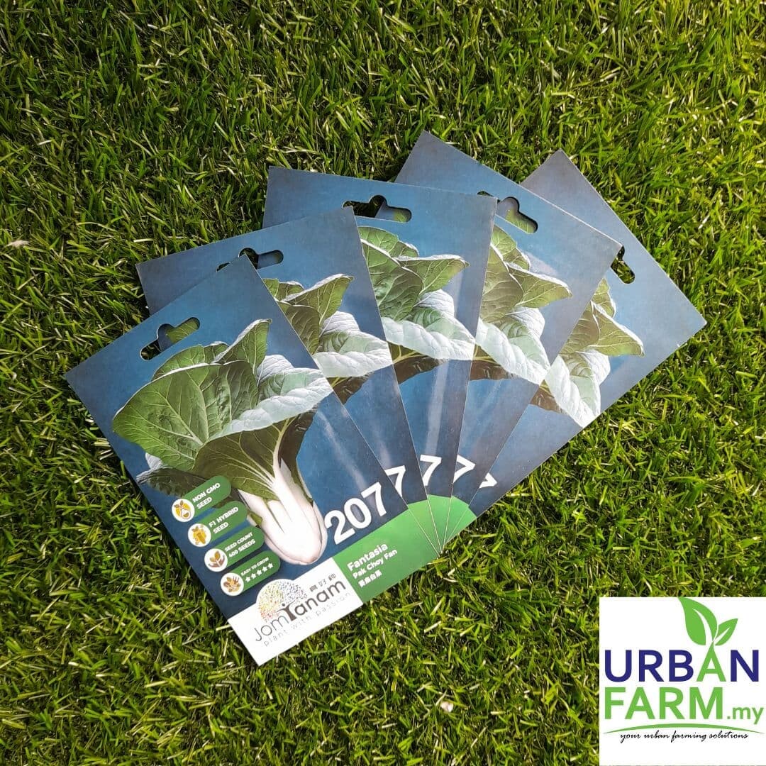 CROP POWER Jom Tanam Fantasia Pak Choy Fan 400 Seed / Pak Choy Putih ...