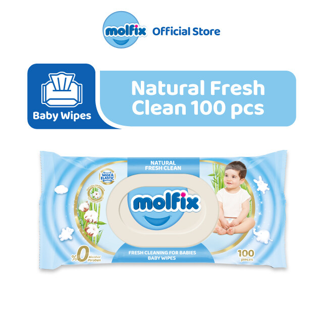 Molfix Wet Wipes 100 Sheets | Lazada