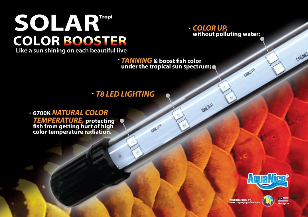 5FT SOLAR COLOR BOOSTER TANNING & Boost Fish Color Under The Tropical ...