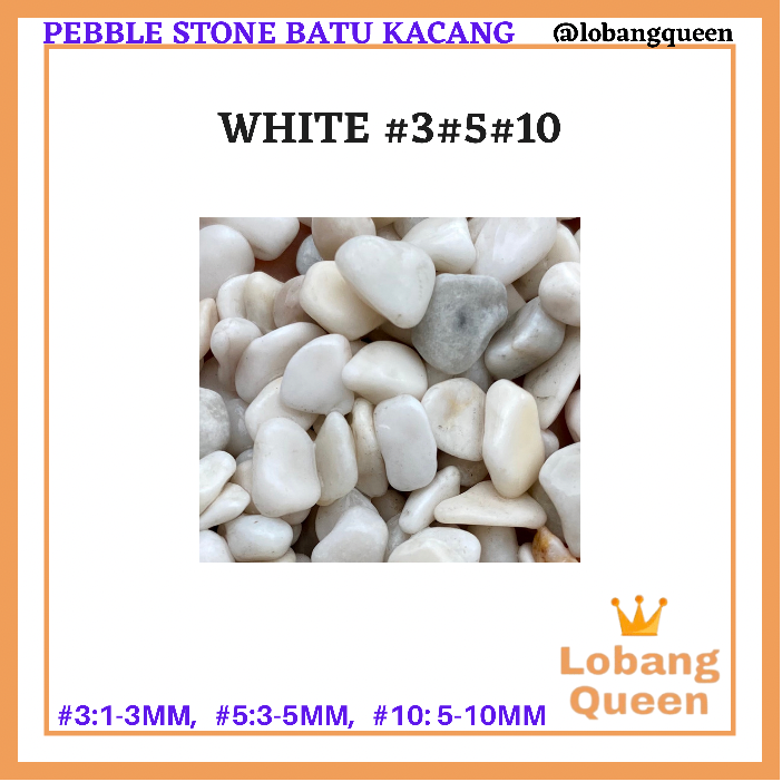 1KG White Pebble Gardening Decor Stone Batu Kacang Sungai Batu Hiasan ...