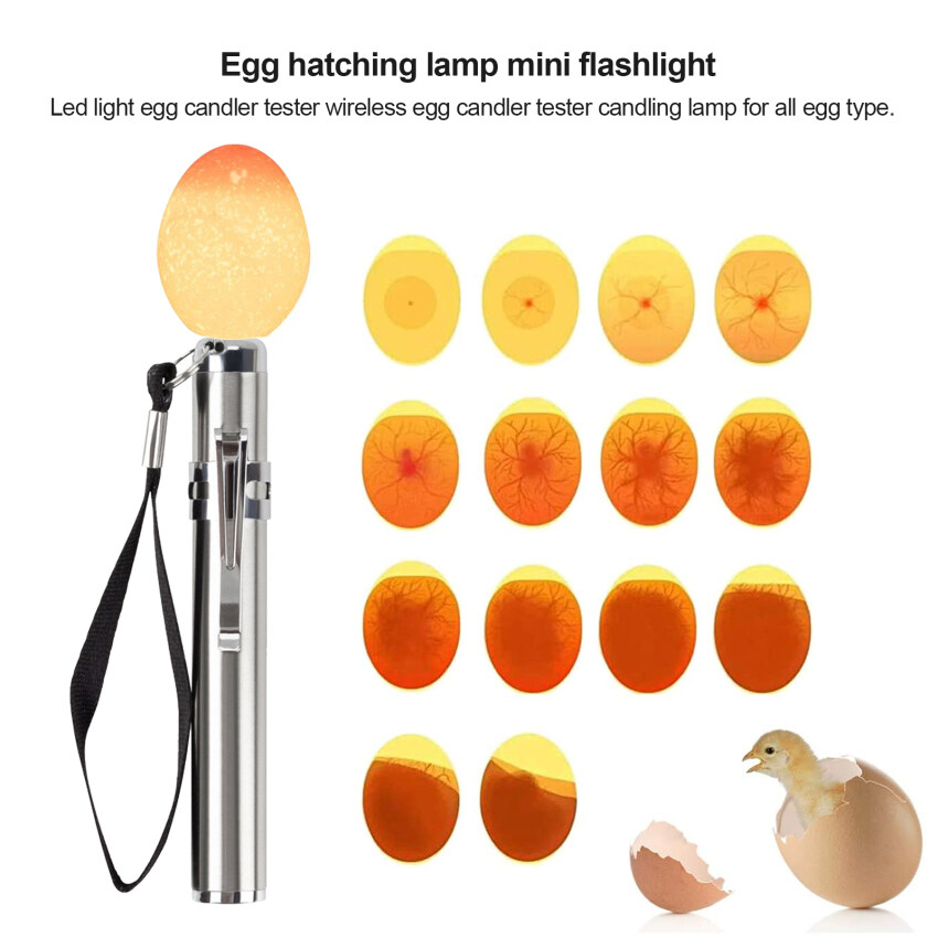 Egg Candler Tester, Bright Cool LED Light Candling Lamp For All Chicken ...