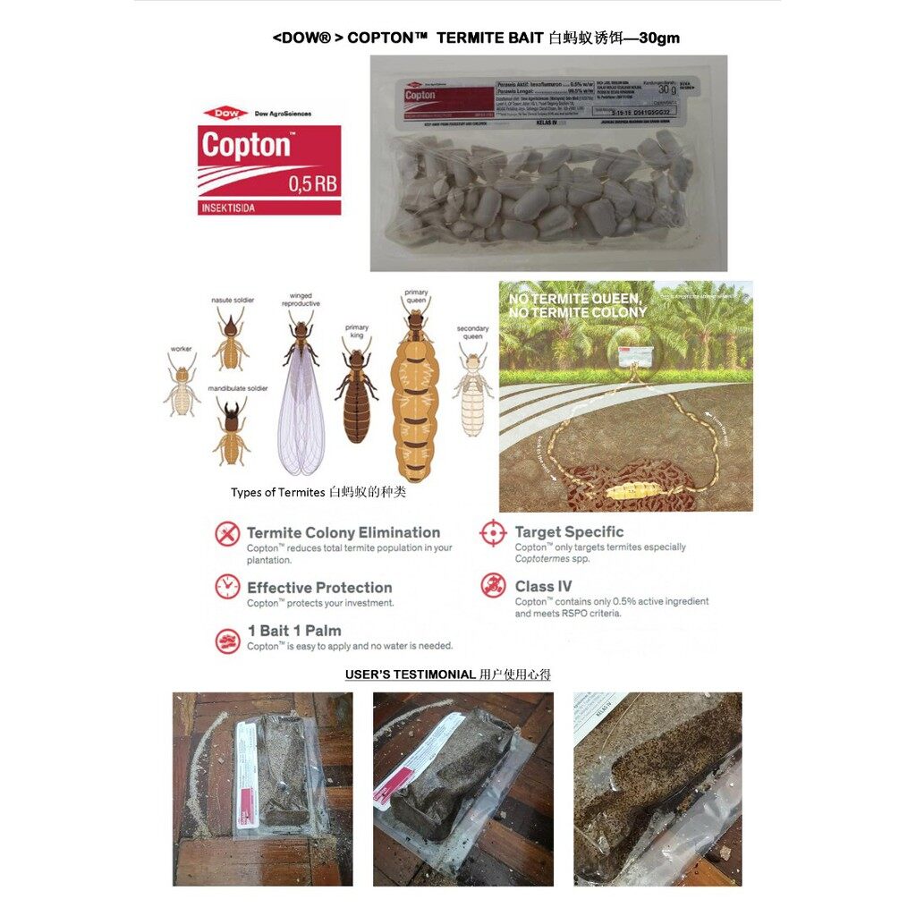 Copton 30gm Insecticide Termite Bait DIY Colony Elimination Baiting ...