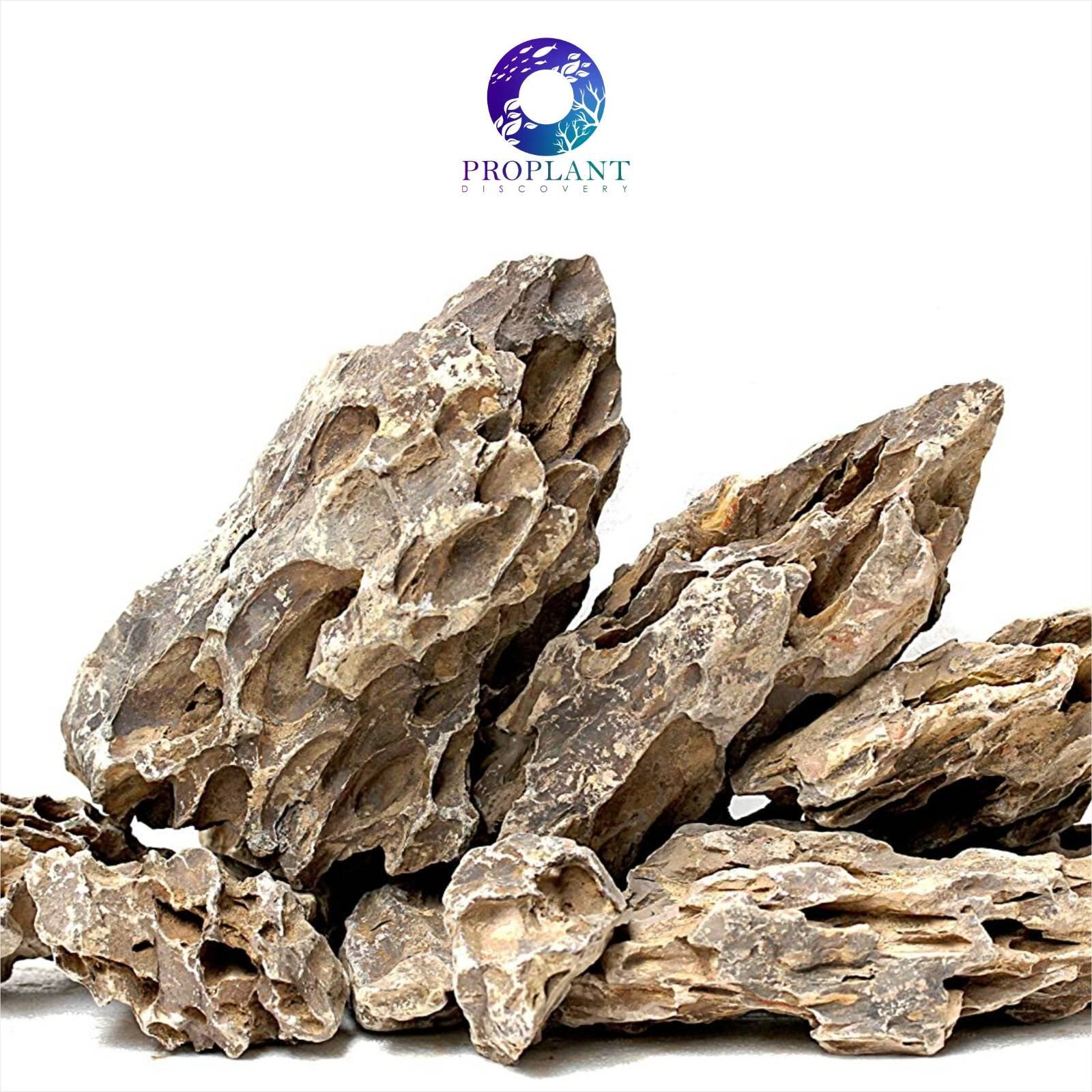 🔥Ohko Rock🔥 Dragon Stone ( Aquascape / Aquarium Rock / Terrarium ...