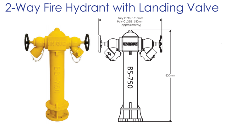 2-Way Fire Hydrant Pillar Hydrant with Landing Valve | Lazada