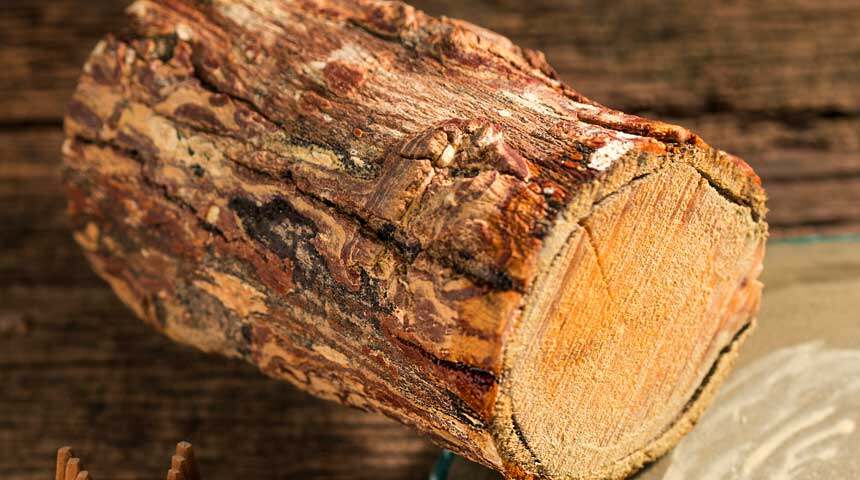 Thanaka Tone (Big)သနပ်ခါးတုံးအကြီး | Lazada