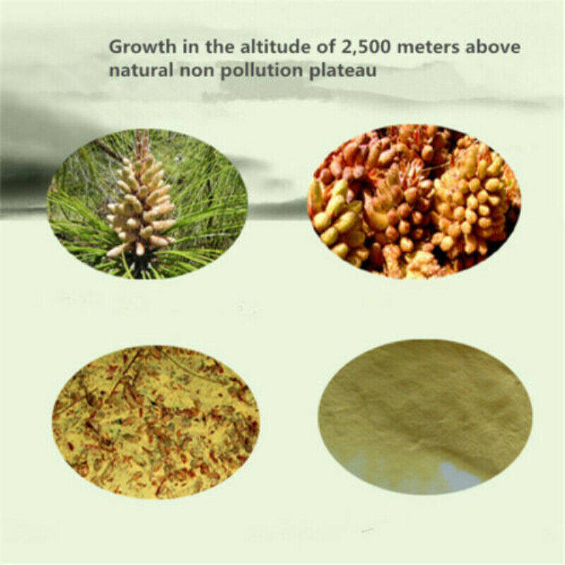 100g~500g Wild Harvested Shell-broken Pine Pollen Powder 99% Cracked ...