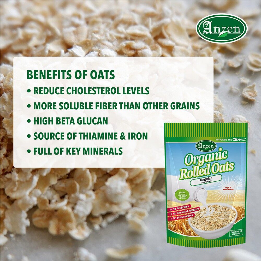 Anzen Organic Rolled Oats Regular/Instant 500g | Lazada