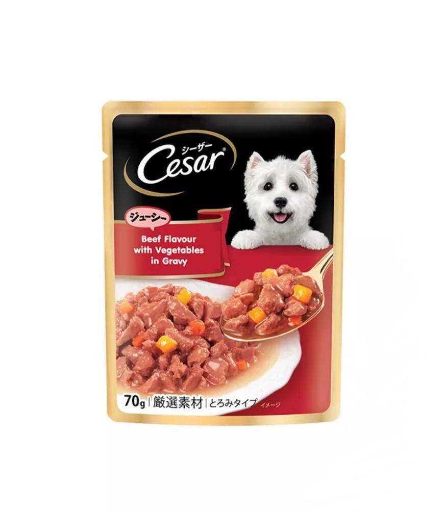 CESAR Pouch Dog Wet Food 70g | Lazada