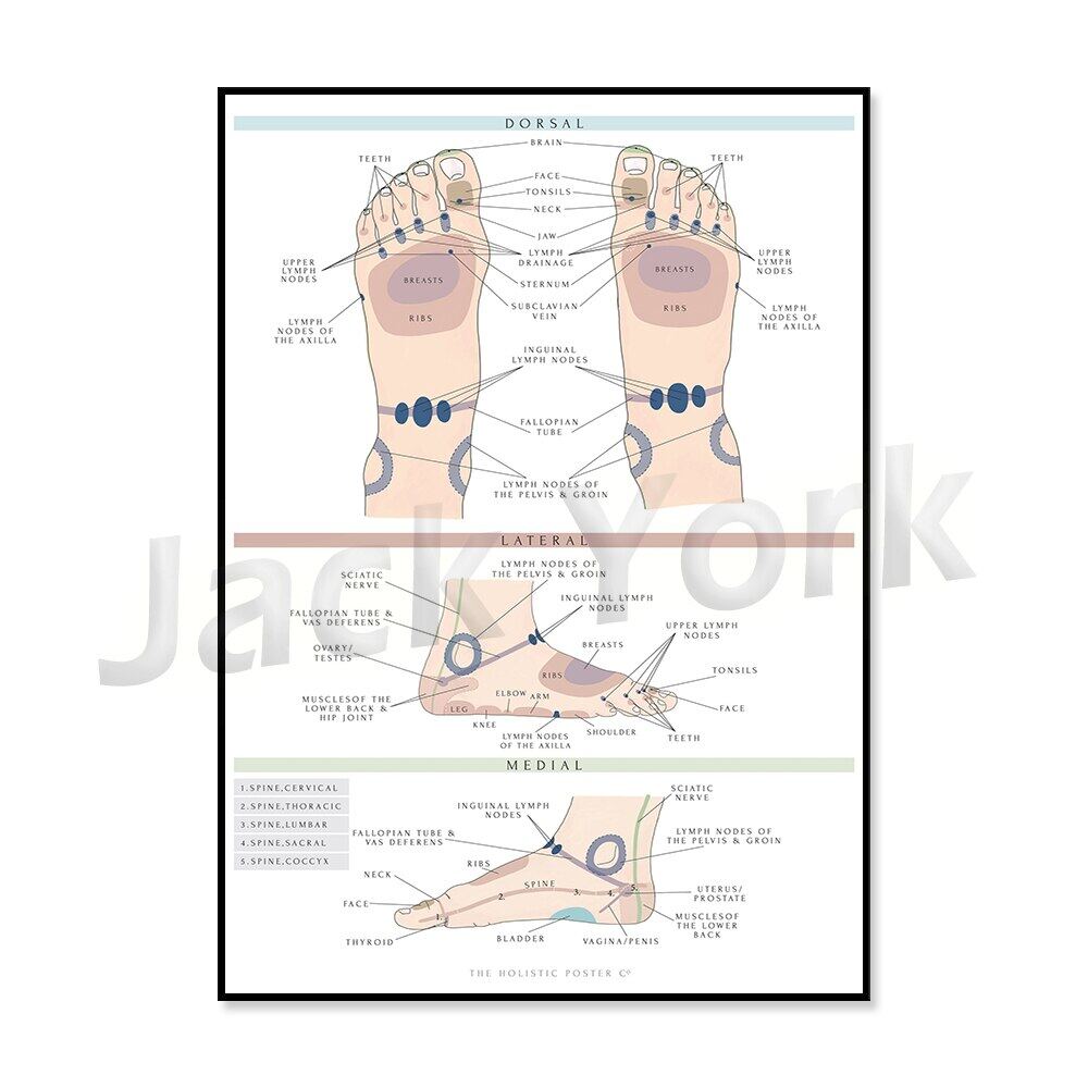 Reflexology Foot Map/Foot Chart Print Wall-art, Therapy Room Poster ...