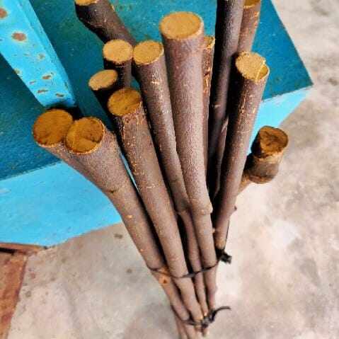 Tongkat Hiking Kayu tas Jantan | Lazada