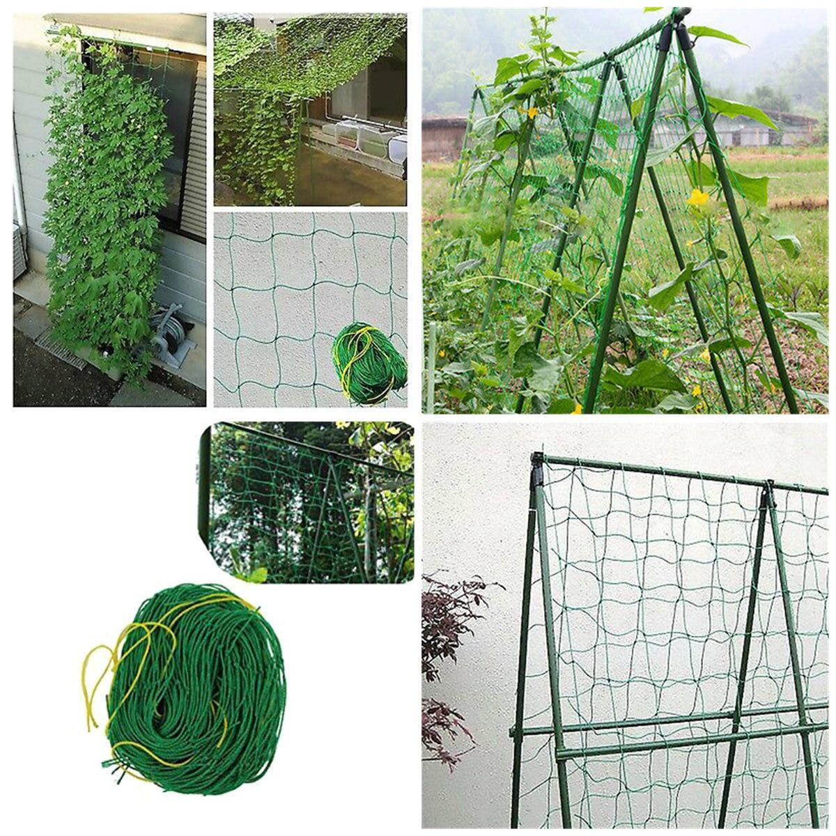 Climbing Bean Plant Nets Grow Fence Garden Green Nylon Trellis Netting ...