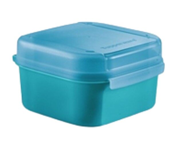 Tupperware Mini Signature 450ml | Lazada