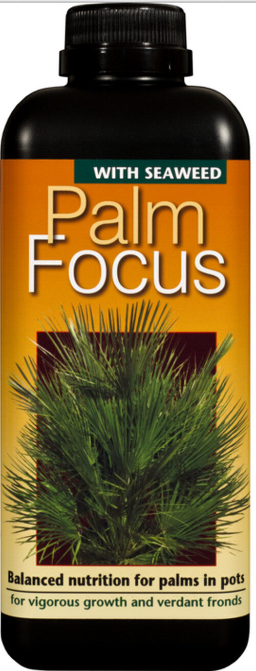 Growth Technology Palm Focus 1L (Palm Tree Liquid Compound Fertilizer ...