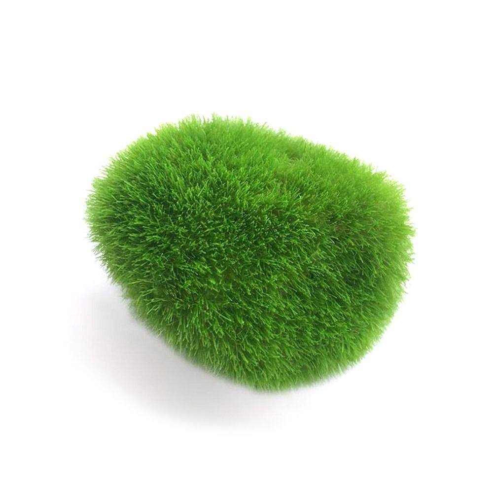 LIOSIS Indoor Aquarium Fish Tank Landscaping Aquatic Plants ...