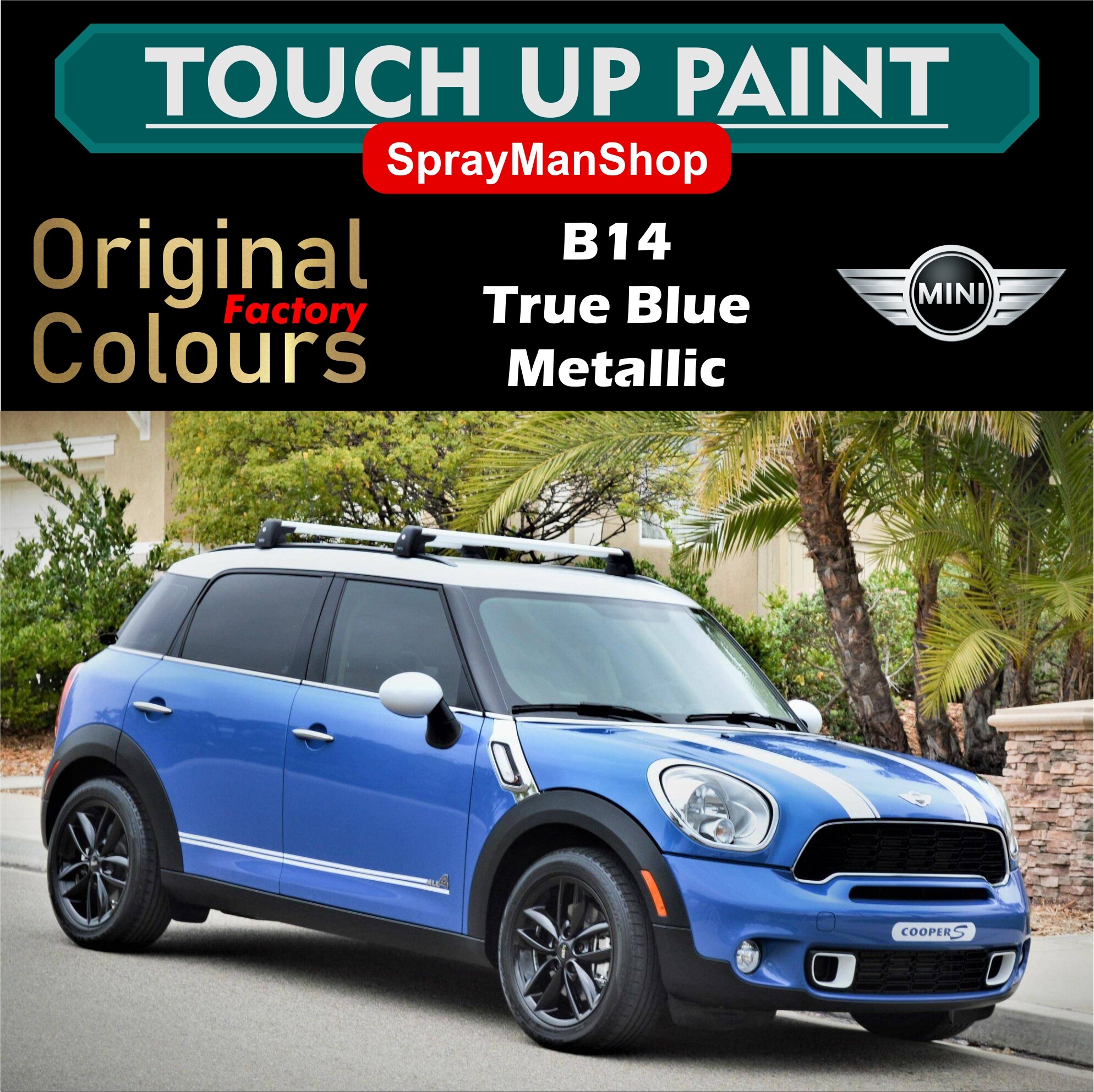 Touch Up Paint MINI 4in1 Original Factory Colour Car Paint | Lazada