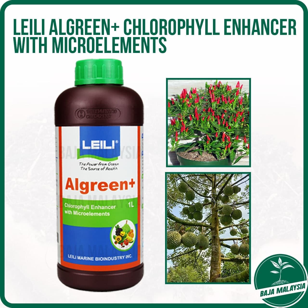 LEILI Algreen 1 Liter Foliar Fertilizer Seaweed Durian Chilli ...